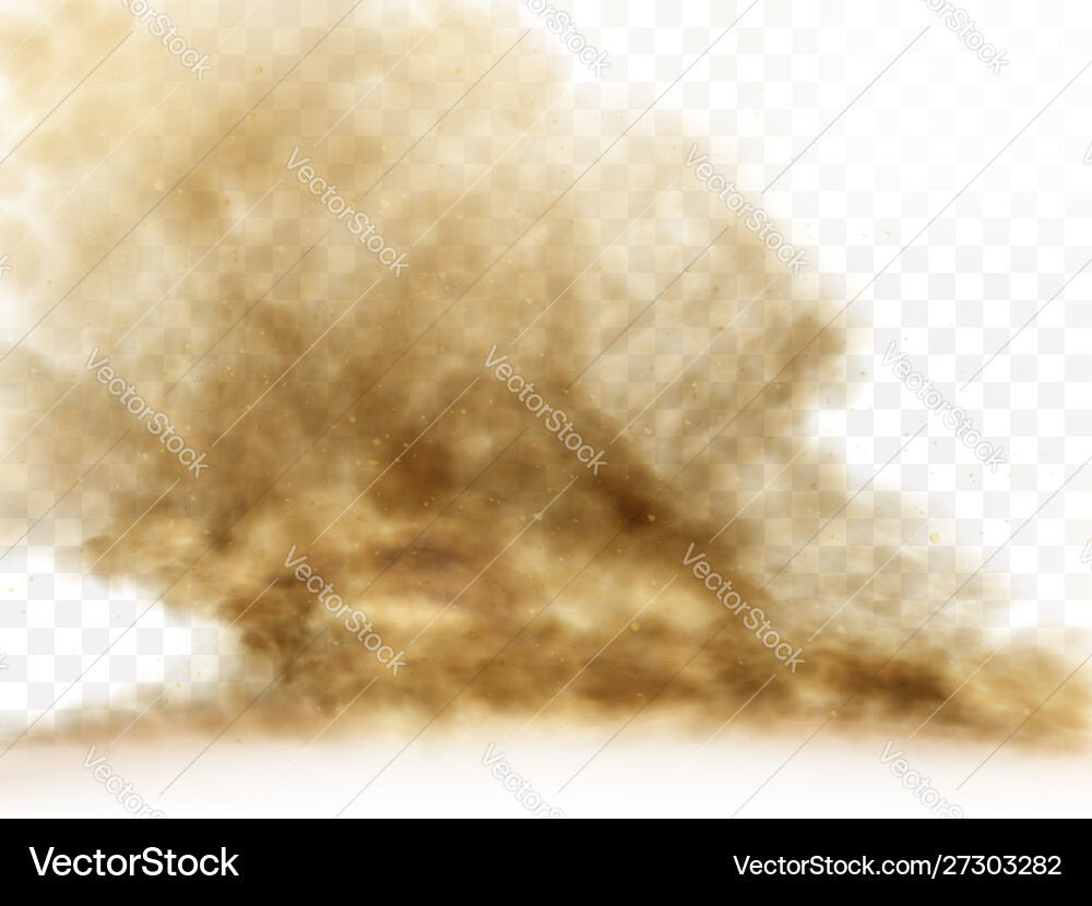 Desert sandstorm brown dusty cloud on transparent Vector Image
