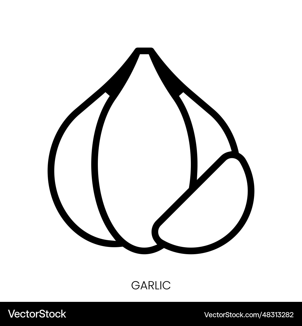 Garlic icon line art style design isolated Vector Image
