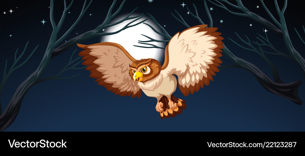 An owl hunting at night Royalty Free Vector Image
