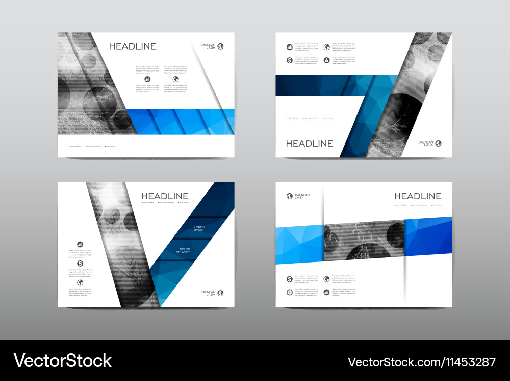 Brochure layout template flyer design Royalty Free Vector
