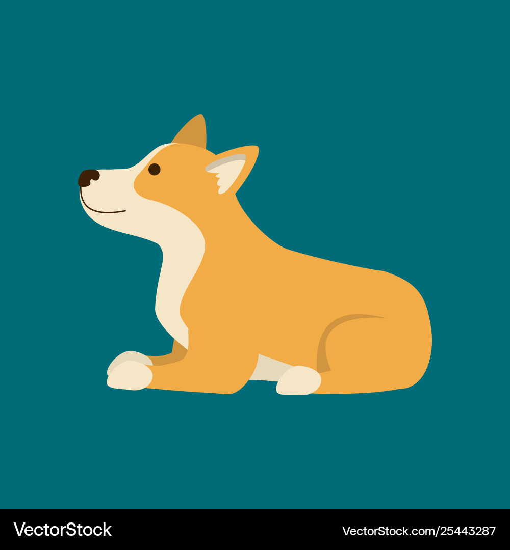Cartoon character welsh corgi relaxing view Vector Image