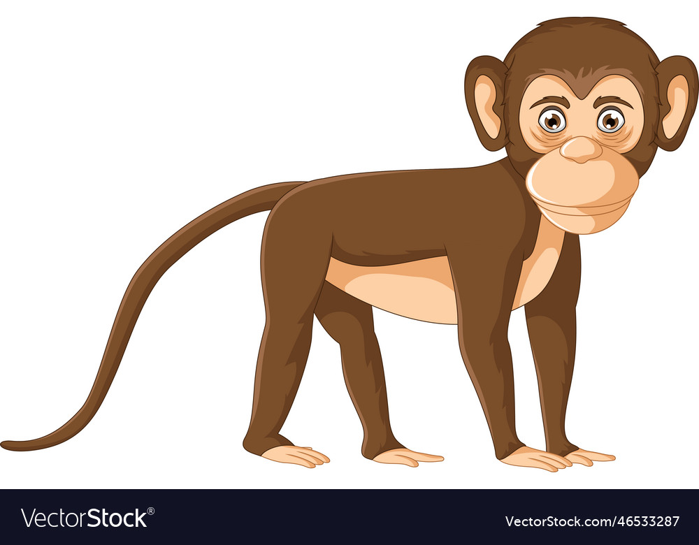 Monkey cartoon posing Royalty Free Vector Image