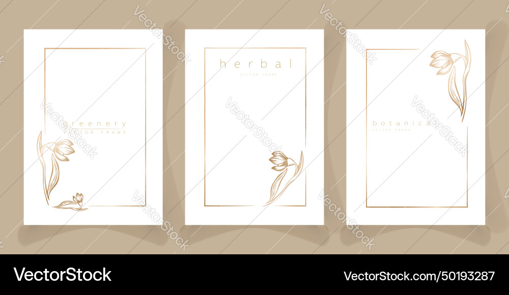 Set of frame snowdrop flower templates Royalty Free Vector