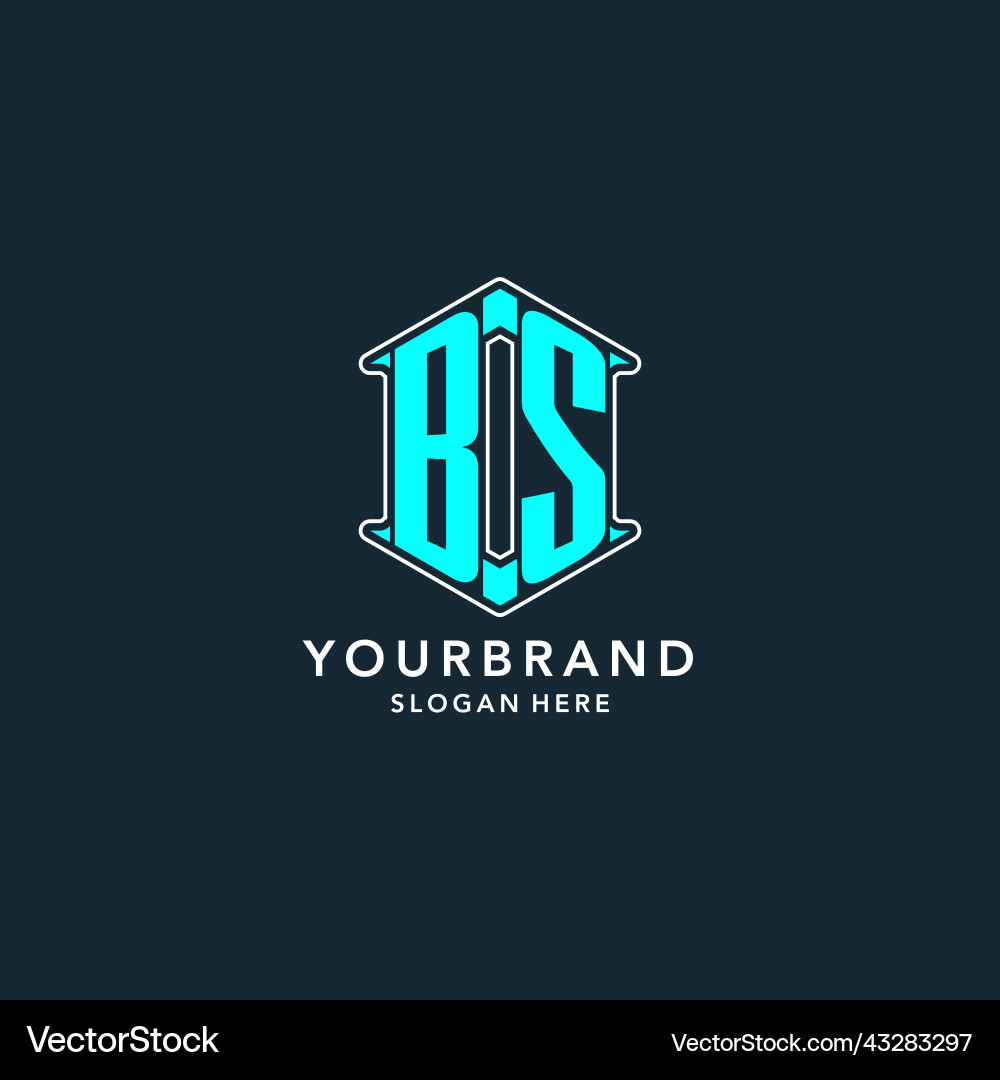 Letter bs logo with hexagon shape geometric style Vector Image