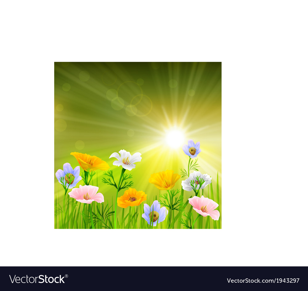 Spring background Royalty Free Vector Image - VectorStock