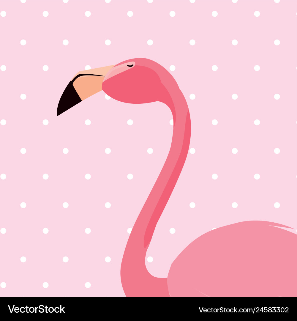 Elegant flamingo bird dotted background Royalty Free Vector