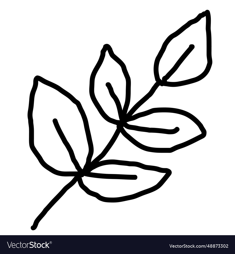 Hand drawn leaf Royalty Free Vector Image - VectorStock