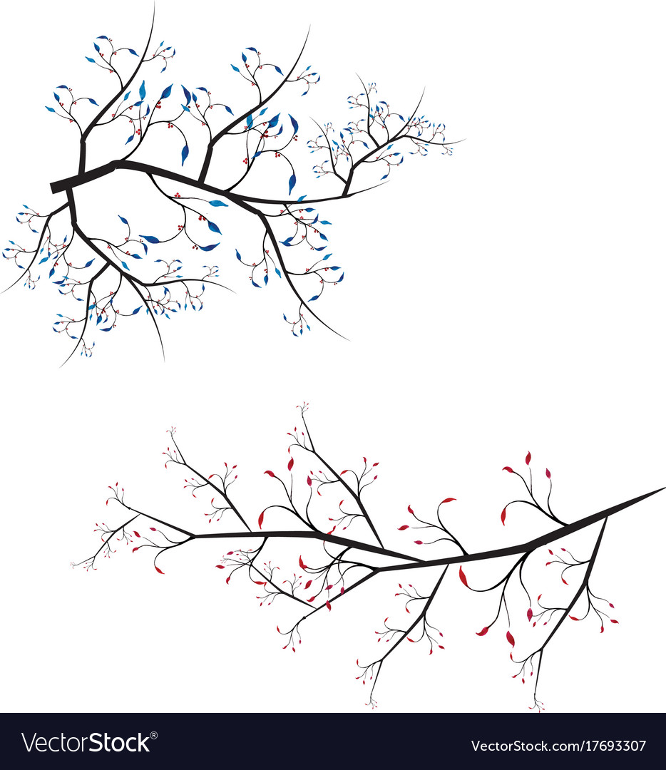 Branches collection Royalty Free Vector Image - VectorStock