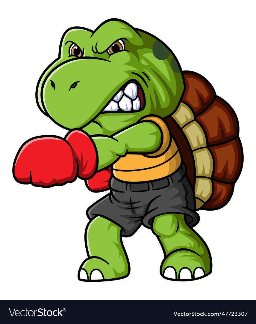 Cartoon little turtle training boxing Royalty Free Vector