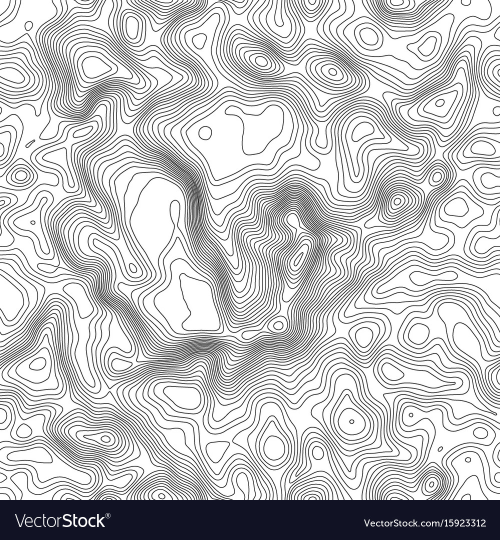 Seamless pattern topographic map background Vector Image