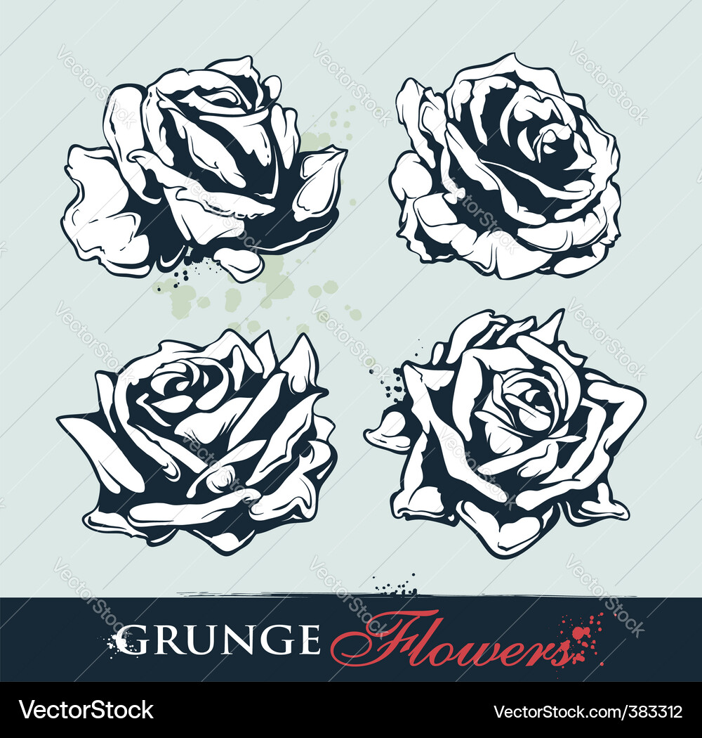 Set of grungy roses Royalty Free Vector Image - VectorStock