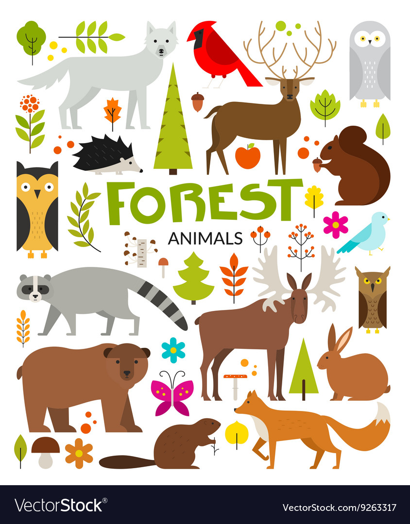Forest Animals Royalty Free Vector Image - VectorStock