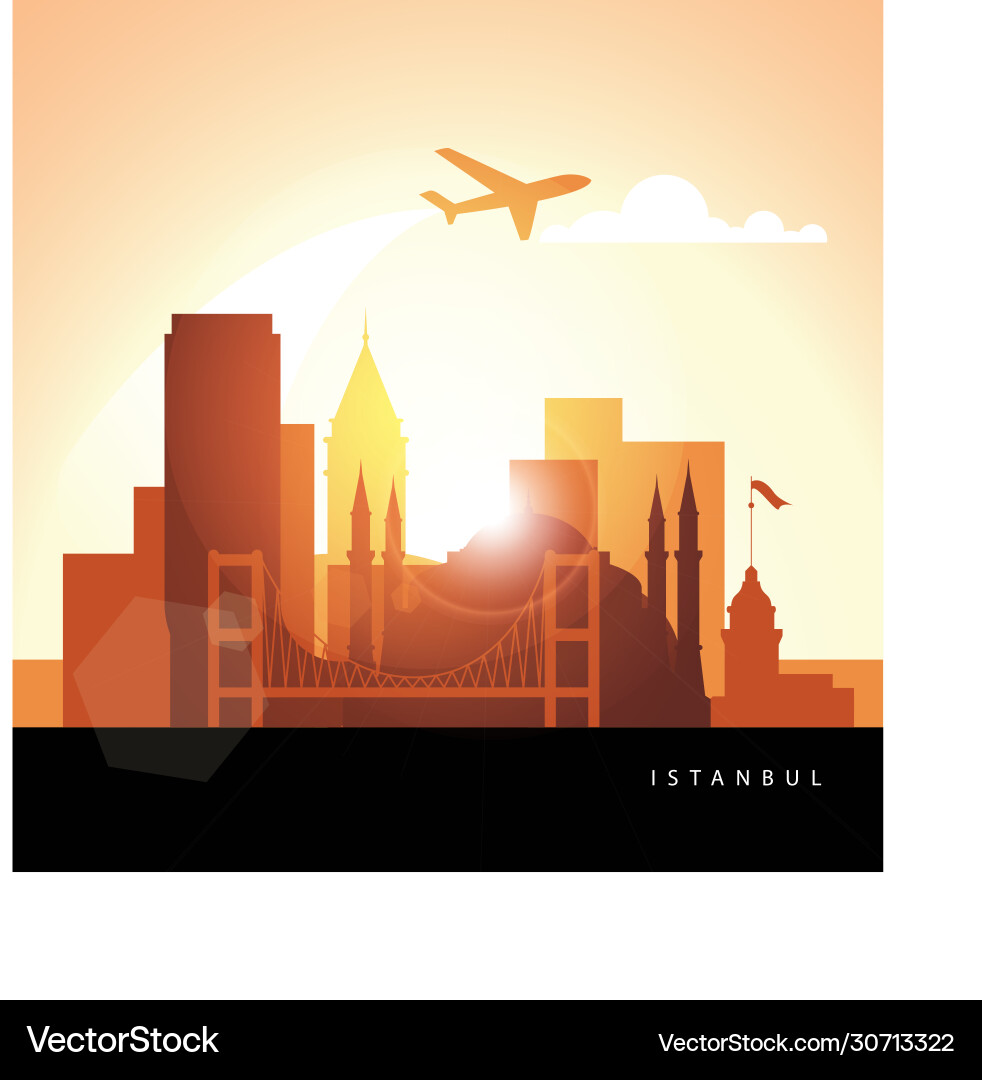 Istanbul detailed silhouette Royalty Free Vector Image