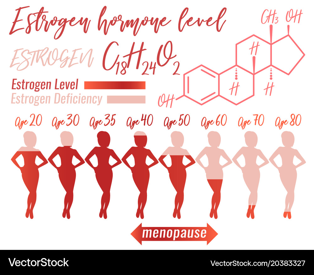 Estrogen woman infographic Royalty Free Vector Image