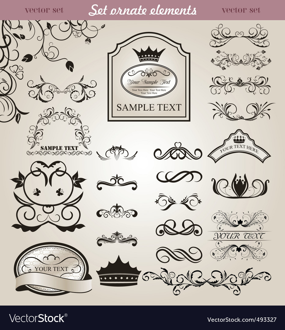 Floral design elements Royalty Free Vector Image