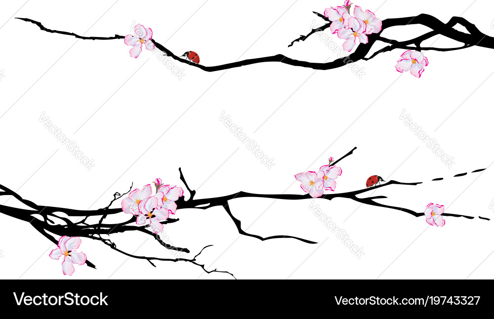 Set of spring dividers Royalty Free Vector Image