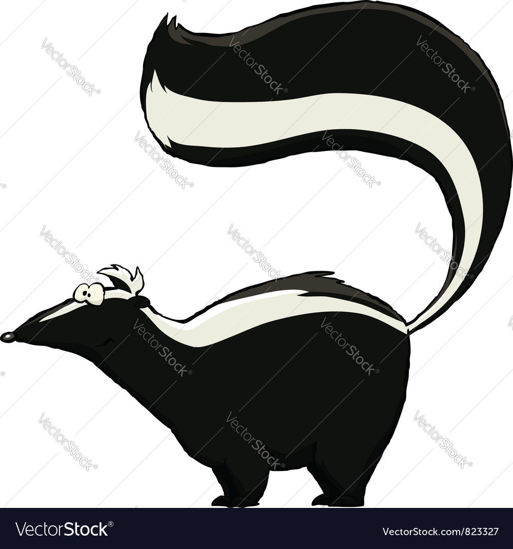 Skunk Royalty Free Vector Image - VectorStock