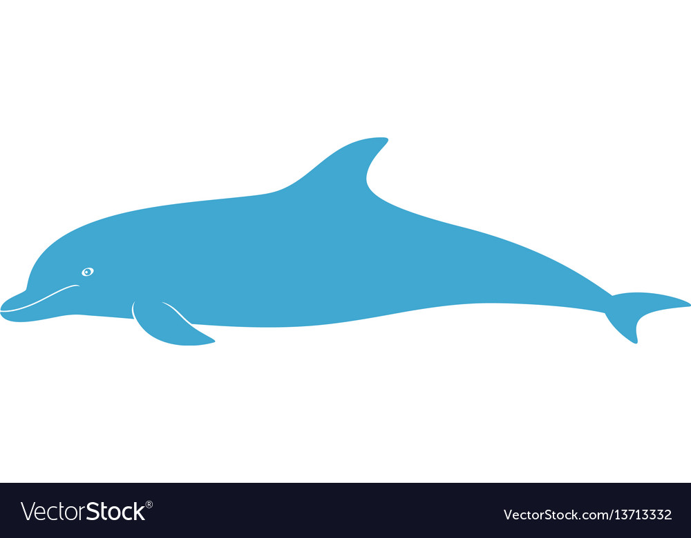 Dolphin Royalty Free Vector Image - VectorStock