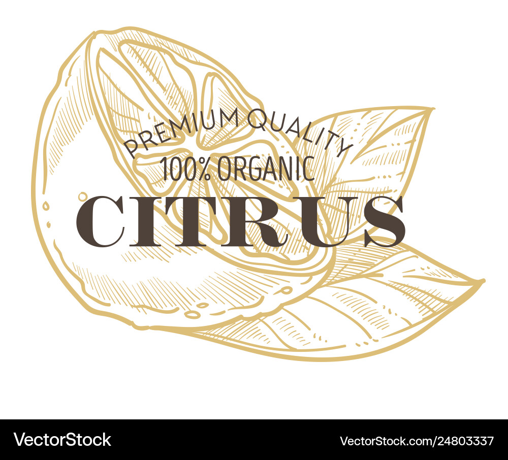 Citrus fruit isolated icon with lettering lemon Vector Image