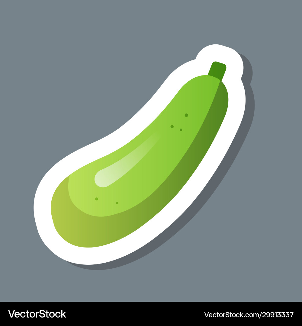 Fresh green squash zucchini courgette sticker Vector Image