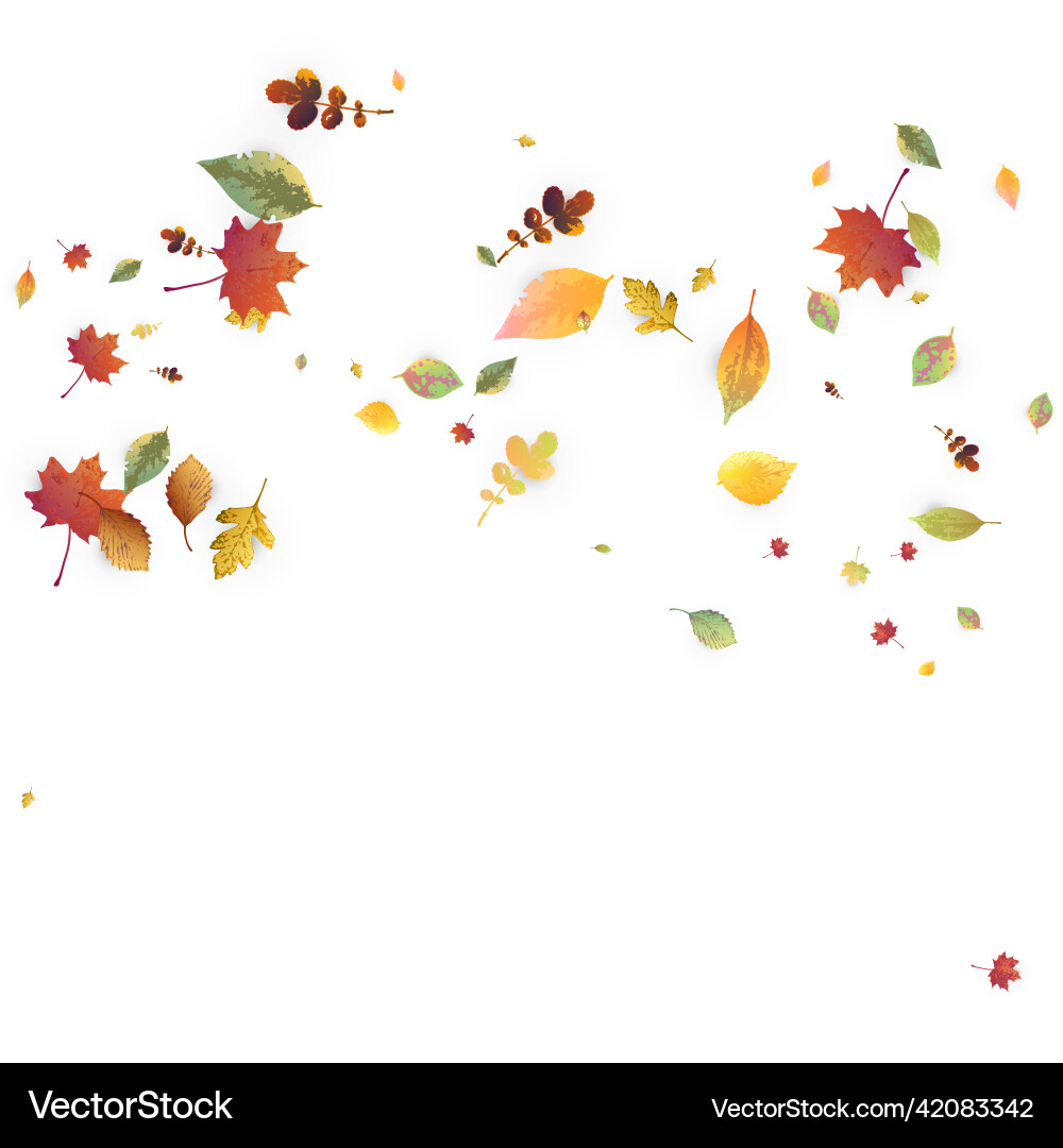 Leaves falling autumn foliage chaotic leaf flying Vector Image