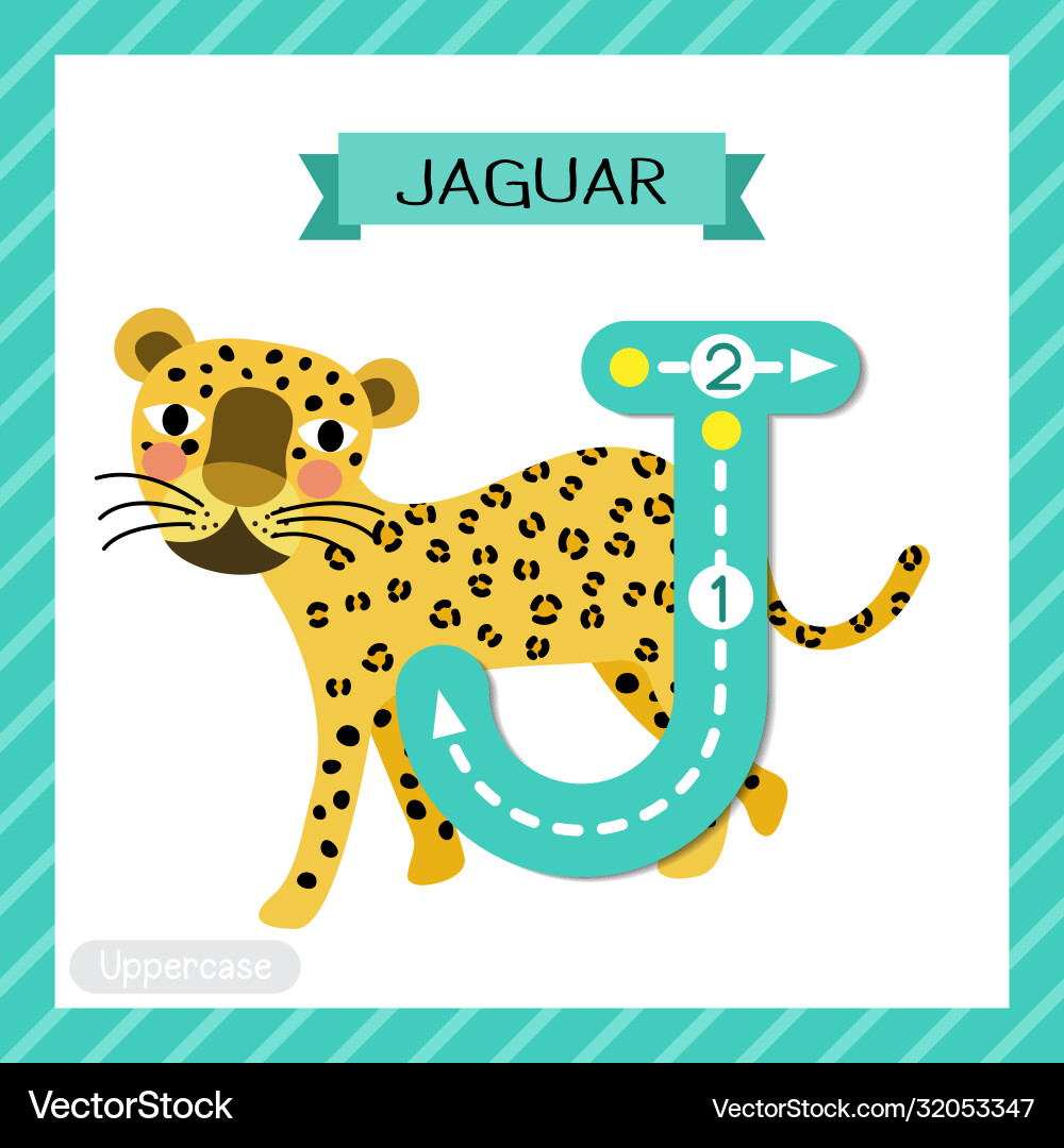 Letter j uppercase tracing walking jaguar Vector Image