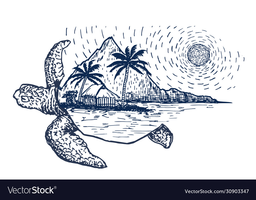 Typography with turtle Royalty Free Vector Image