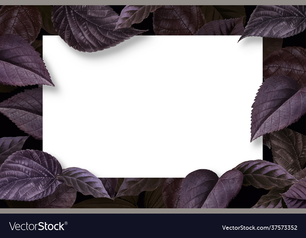 Forest leaf frame Royalty Free Vector Image - VectorStock
