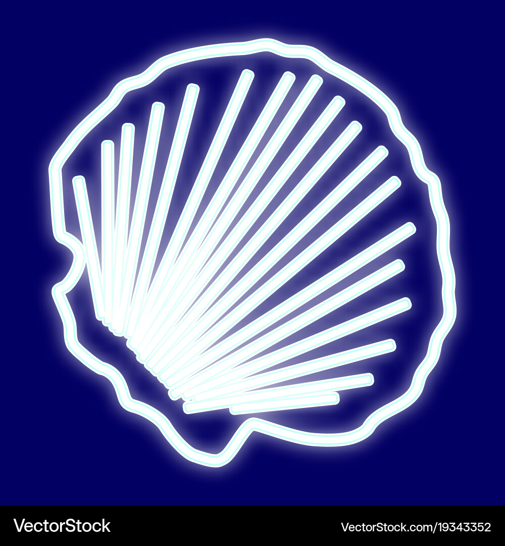 Picture of the clam shell Royalty Free Vector Image