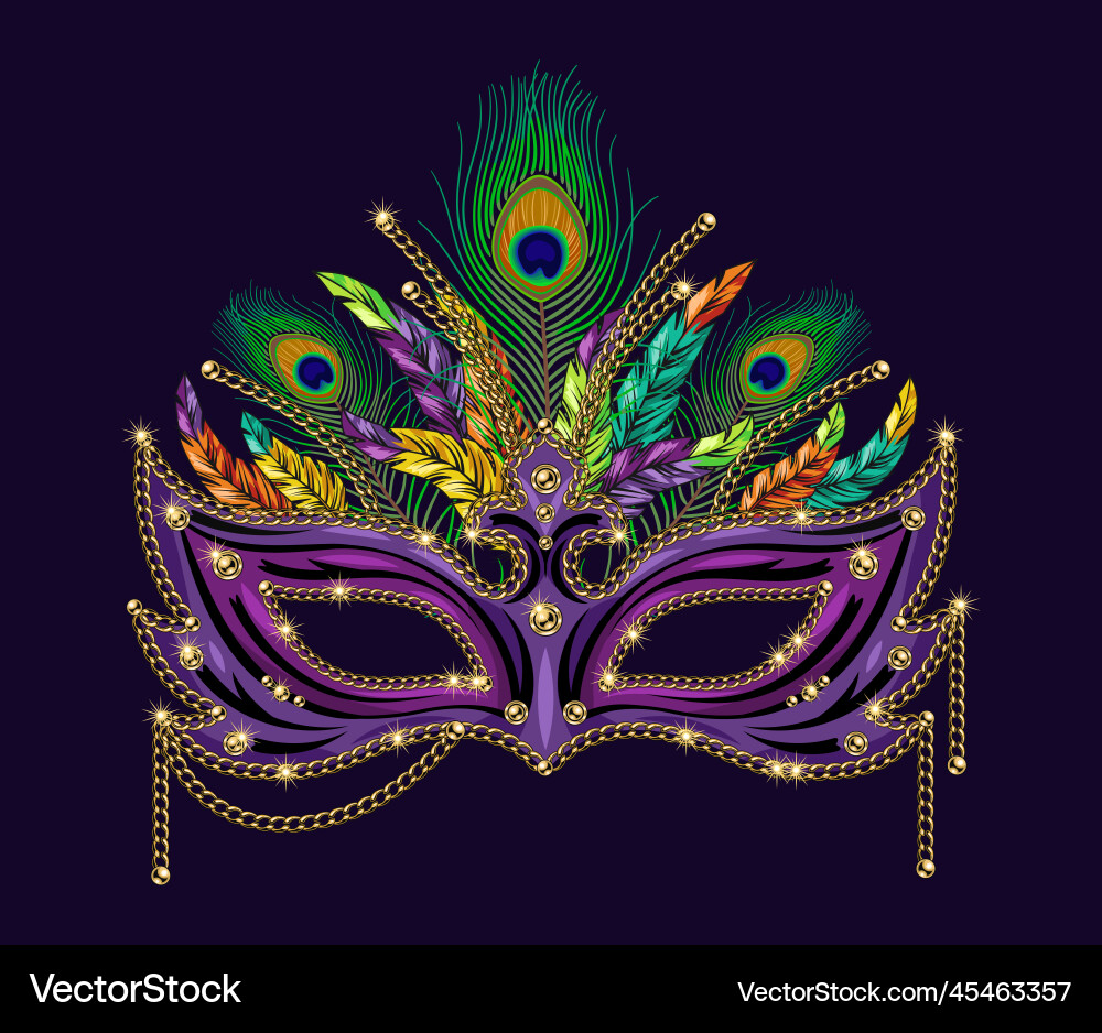 Carnival luxury mask with beads feathers chains Vector Image