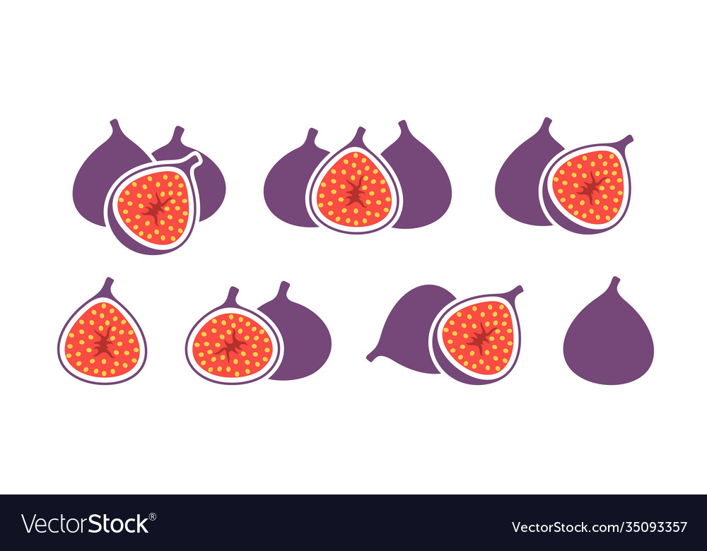 Fig Royalty Free Vector Image - VectorStock