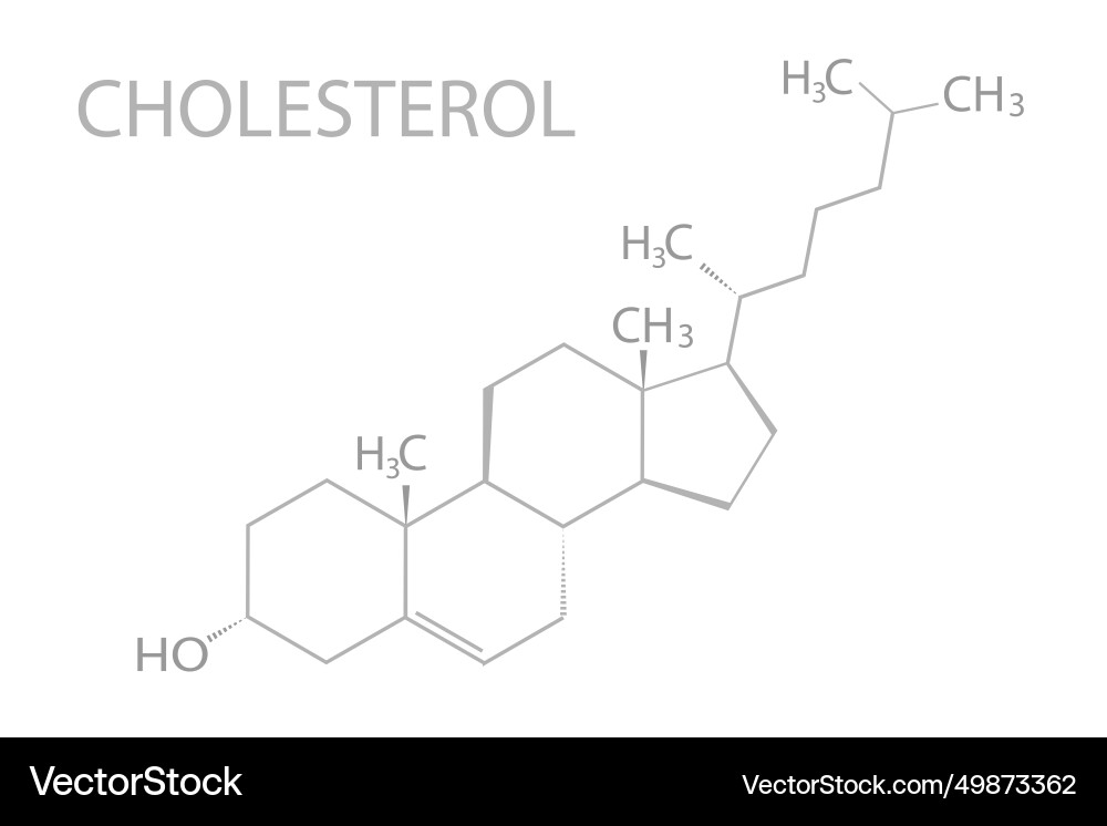 Cholic acid molecular skeletal chemical formula Vector Image