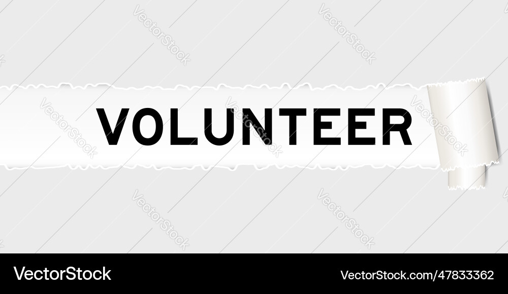 Ripped gray paper background that have word Vector Image