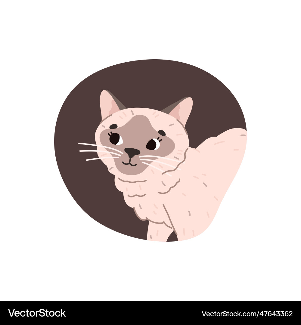 Siamese cat or kitten character in color frame Vector Image