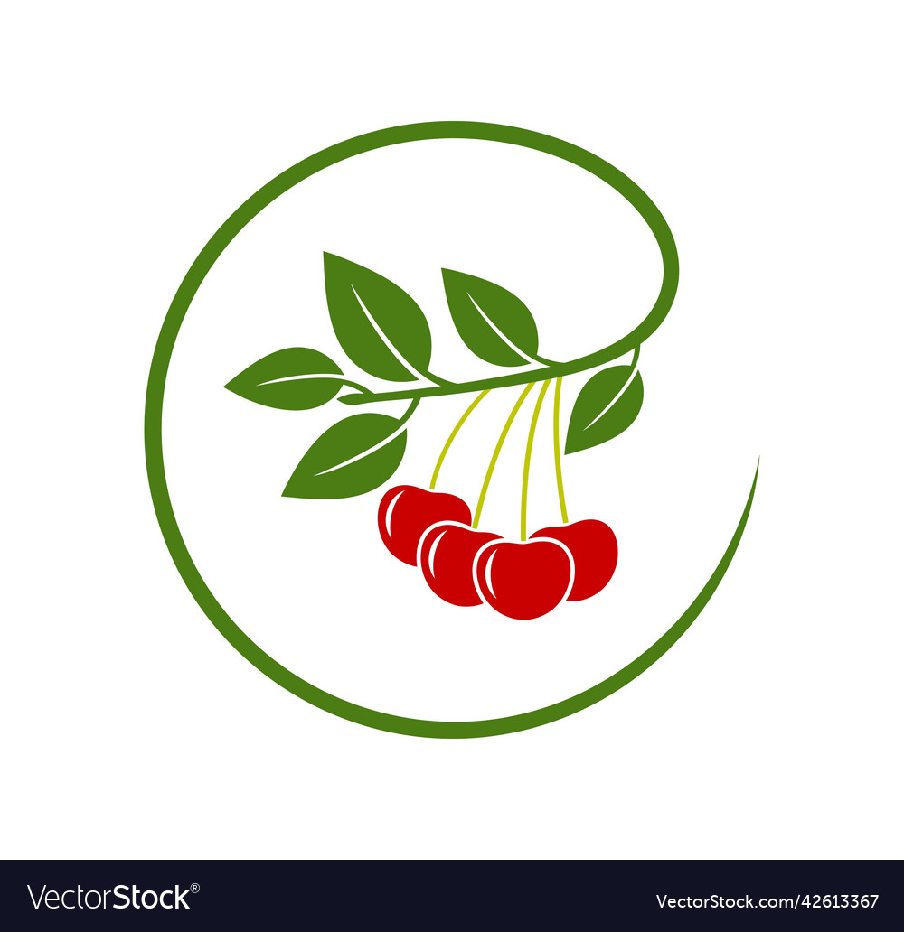 Cherry branch Royalty Free Vector Image - VectorStock