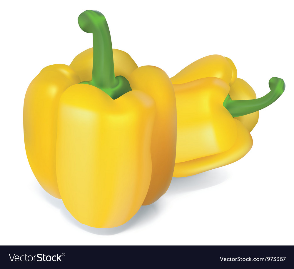 Pepper Royalty Free Vector Image - VectorStock