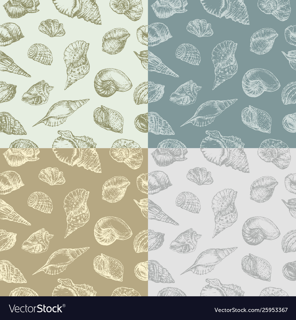 Seashells pattern Royalty Free Vector Image - VectorStock