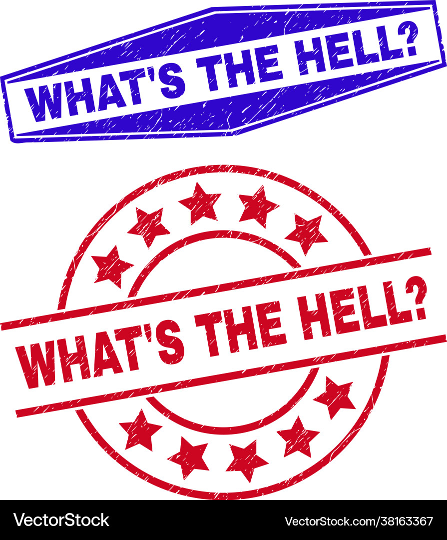 What s the hell question unclean stamps in circle Vector Image