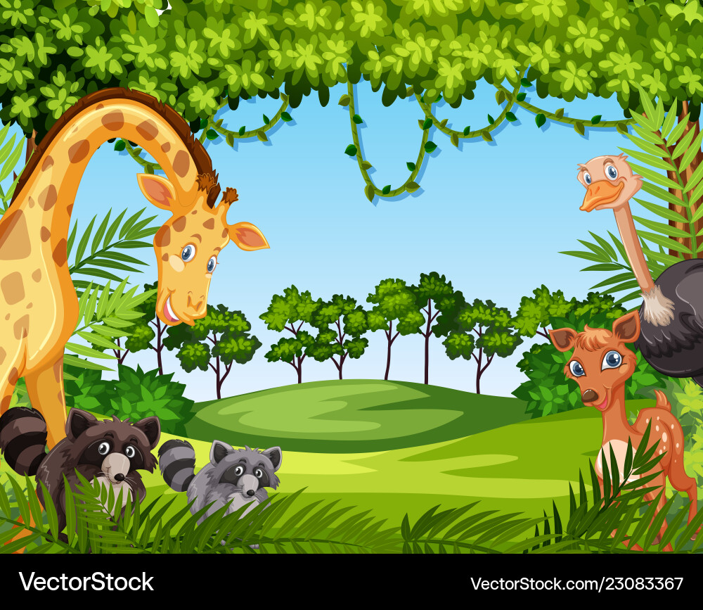Wild animal in nature Royalty Free Vector Image