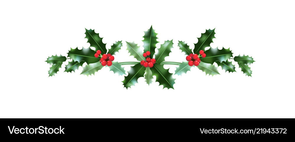 Festive christmas holiday decor Royalty Free Vector Image