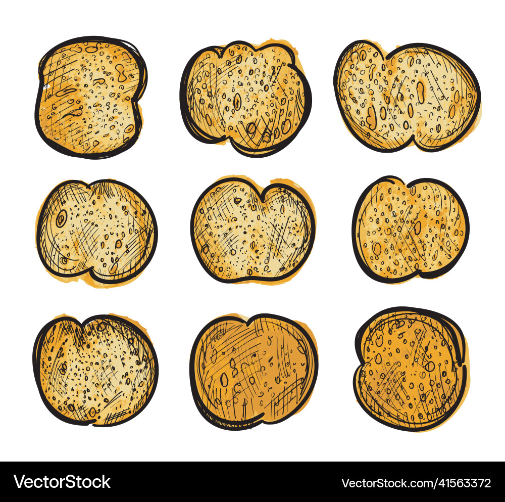 Hand drawn sketchy croutons bruschetta crackers Vector Image