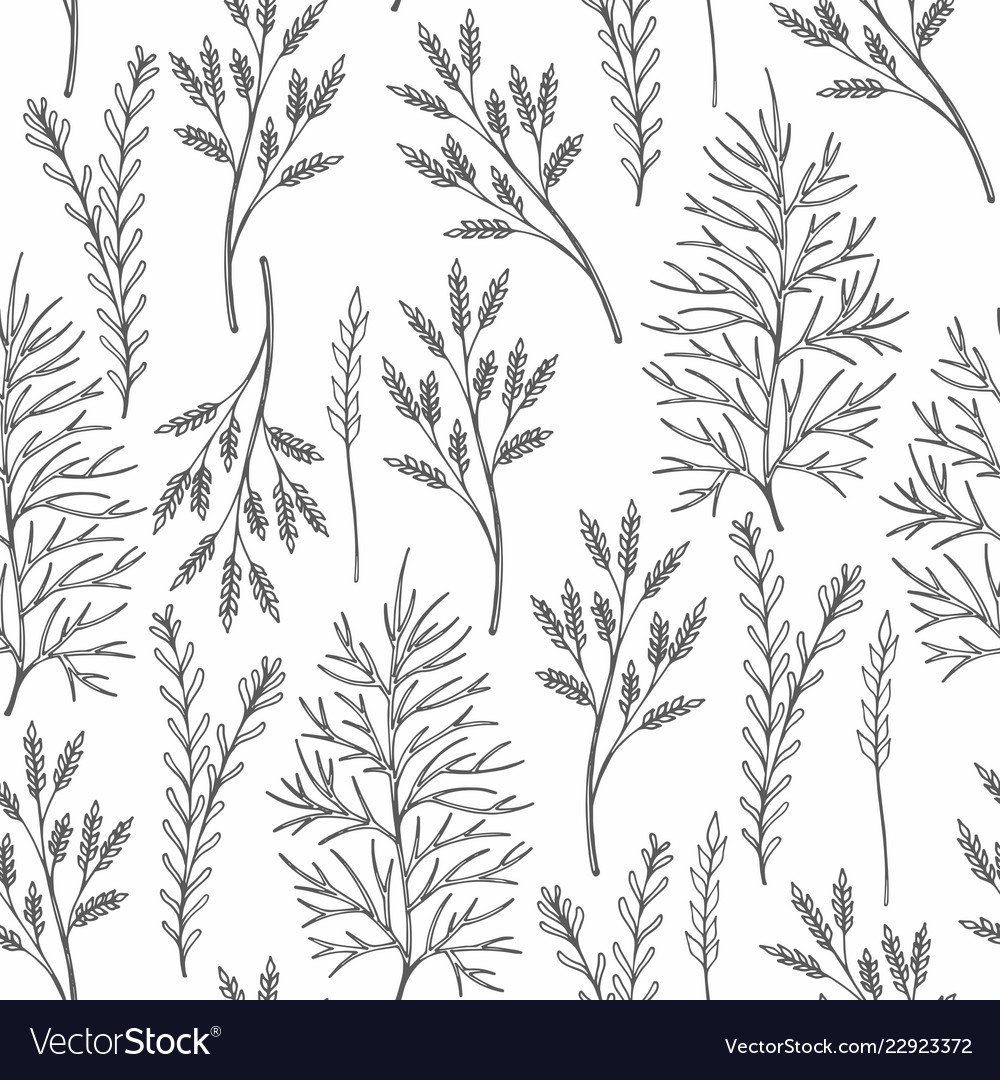 Seamless pattern with herbs Royalty Free Vector Image