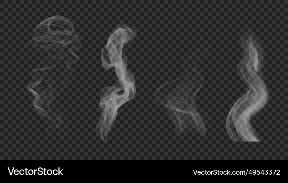 Set of realistic white wavy steam Royalty Free Vector Image