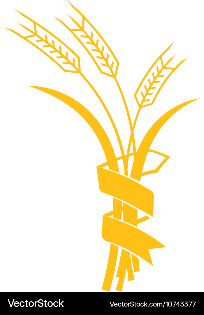 Barley Graphic