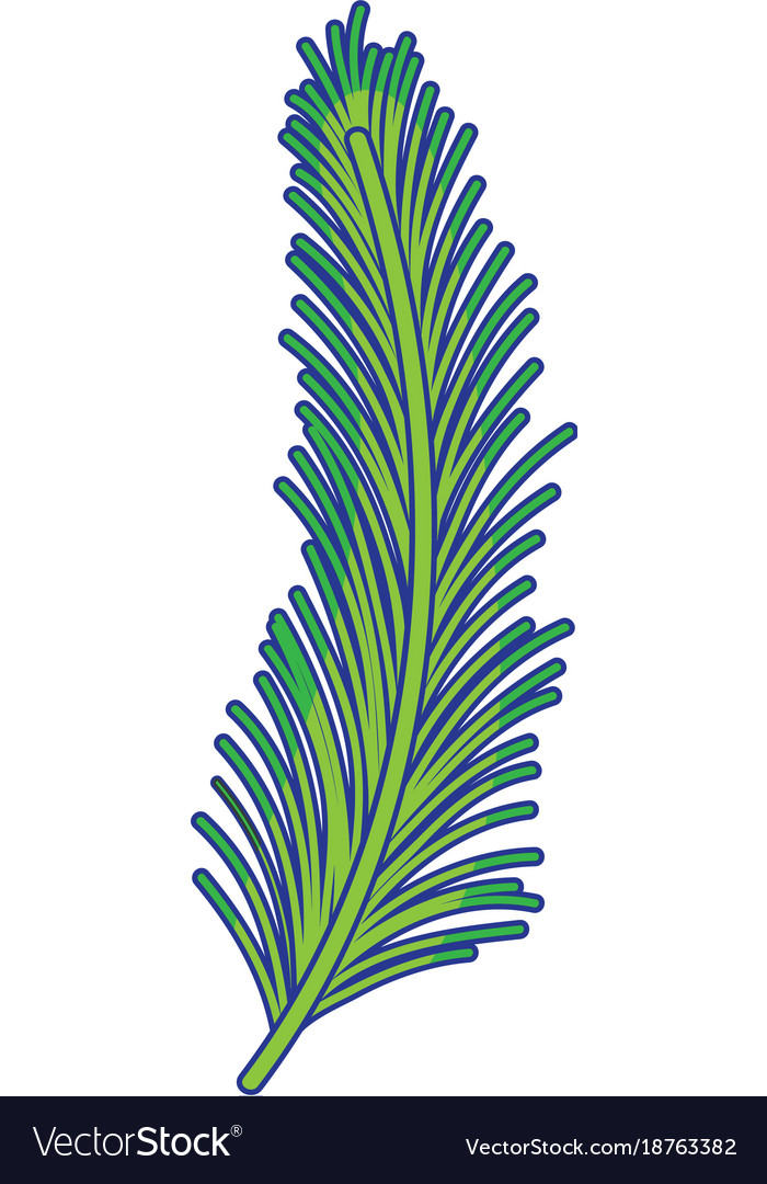 Isolated leaf design Royalty Free Vector Image