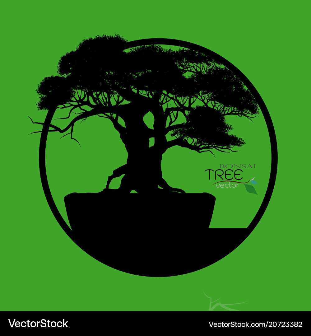 Logo of bonsai tree Royalty Free Vector Image - VectorStock