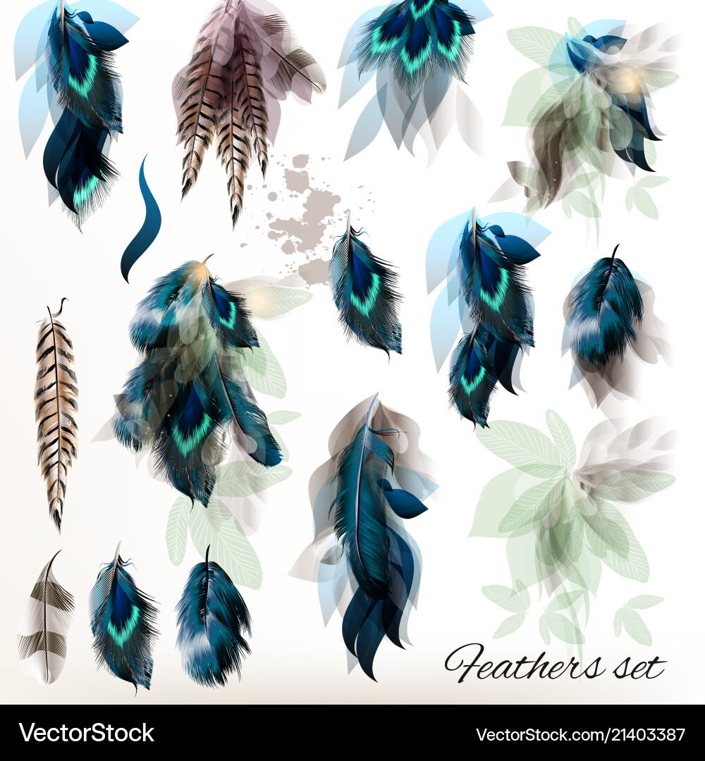 Set of realistic colorful feathers Royalty Free Vector Image