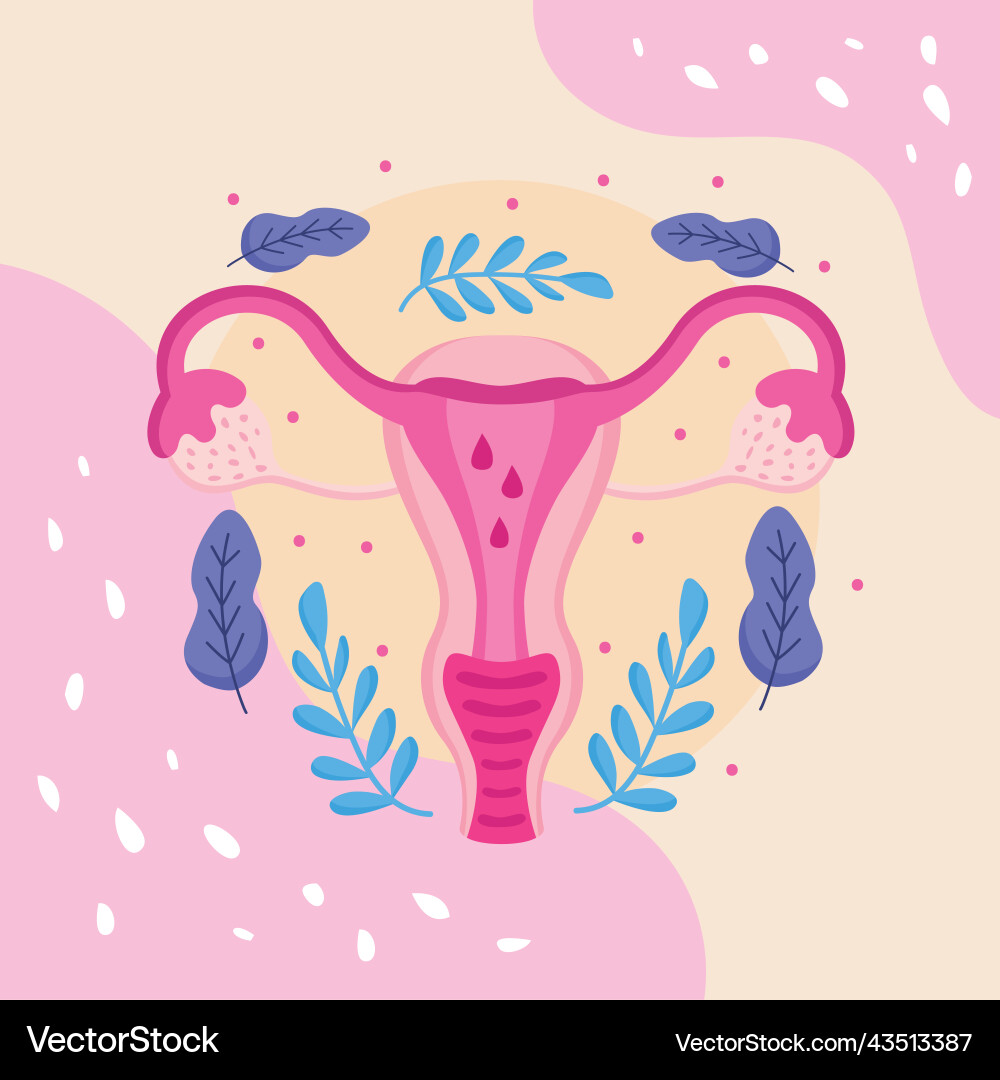 Woman uterus and leafs Royalty Free Vector Image