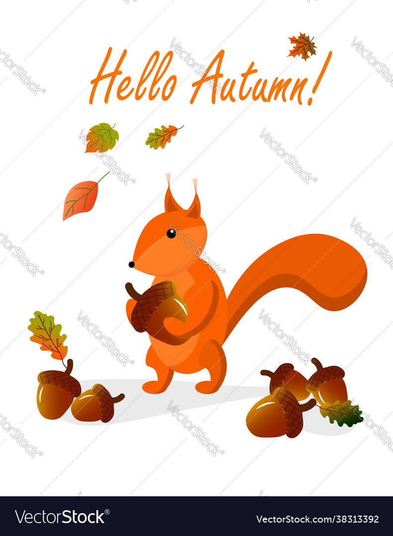Autumn card with squirrel and acorns Royalty Free Vector