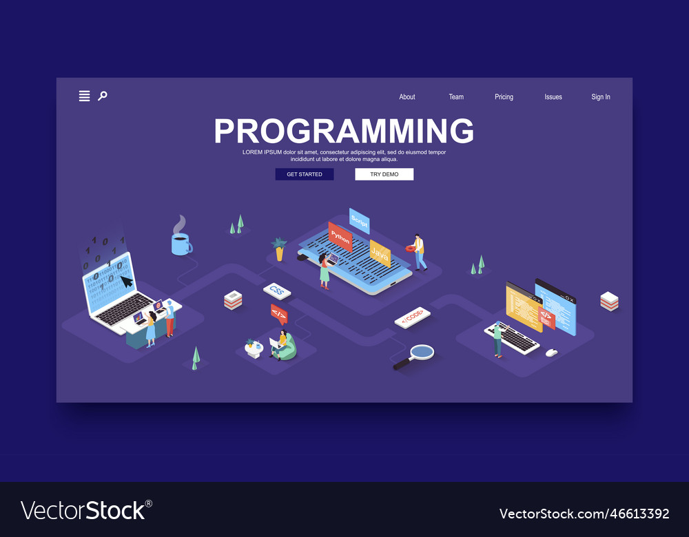 Programming company concept 3d isometric landing Vector Image